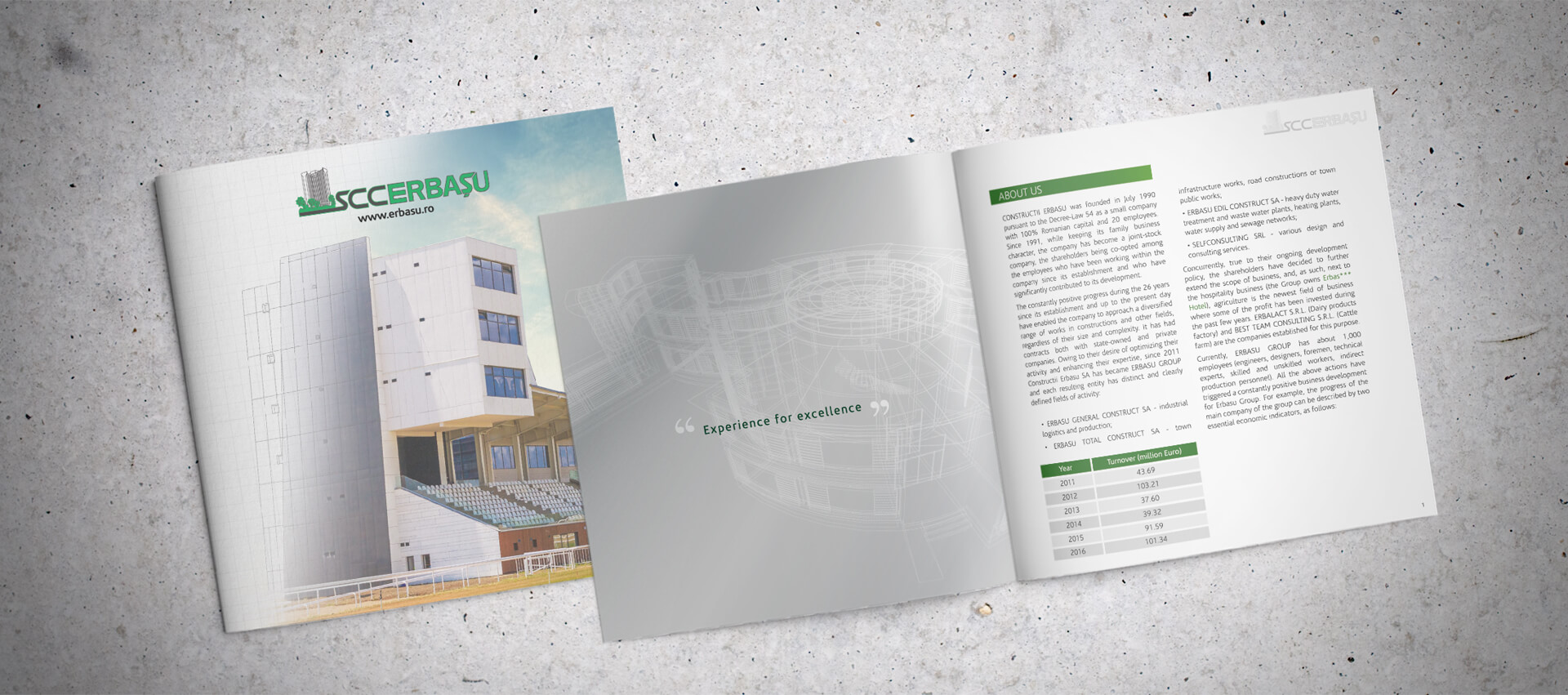 Constructii Erbasu | Digital Partners